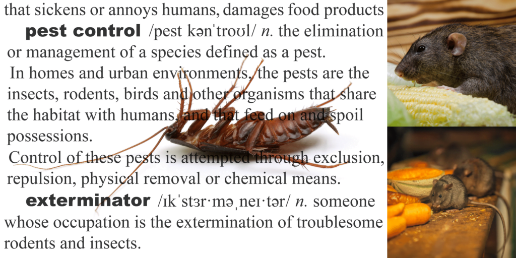 11 tips for a successful food hygiene inspection | The Safety Expert