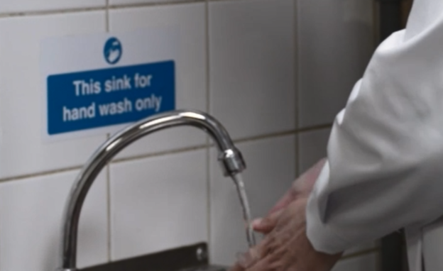The importance of food handler personal hygiene | The Safety Expert