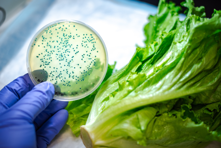 What are the 4Cs of food safety? | The Safety Expert