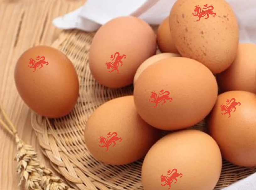 Crack the Code: Ensuring egg safety for your business | The Safety Expert